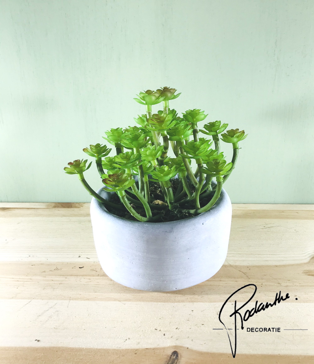 Potje met bloemen | Rodanthe Decoratie | De Site voor leuke kadootjes